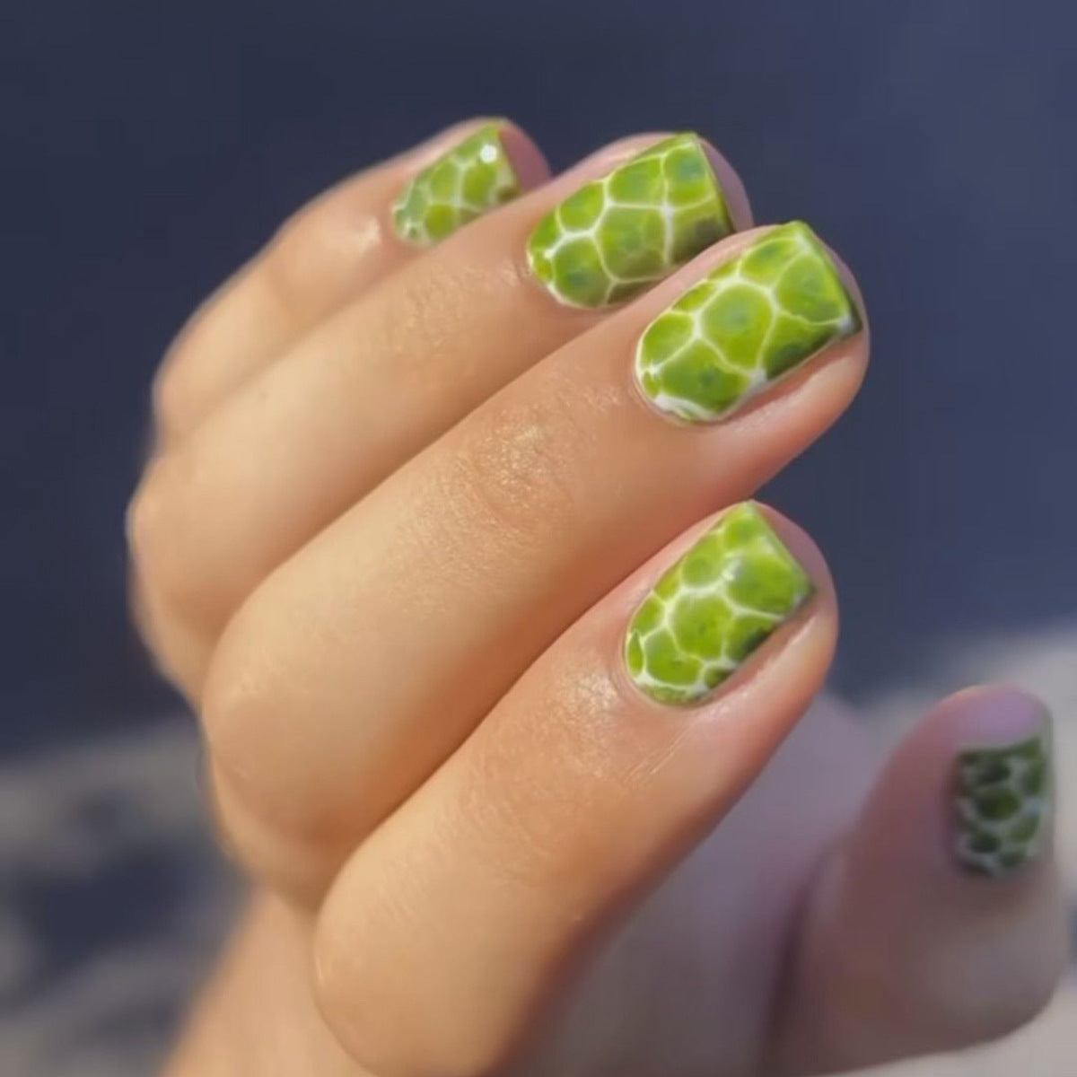 Tropical Escape Short Square Green Tortoise Shell Press-On Nail Set ...